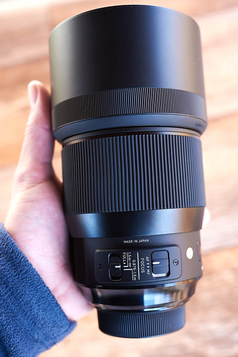 Review Sigma 135 mm F1.8 ART - Obiectiv excelent pentru fotografia de ...