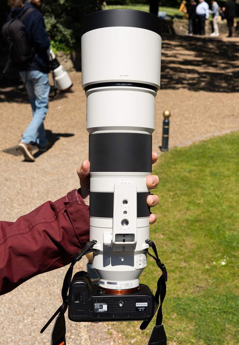 M-am jucat cu noul Sony 200-600 F5.6-6.3 G OSS - Teleobiectivul de ...